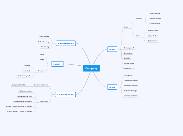 Company - Mind Map