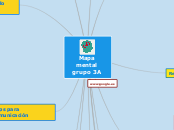 Mapa mental grupo 3A - Mind Map