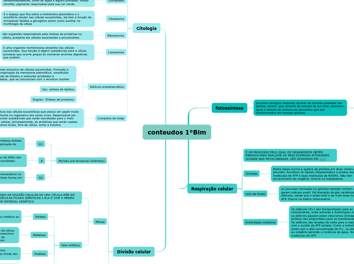conteudos 1°Bim - Mapa Mental