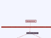 Homeostasis - Concept Map