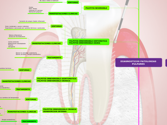 DIAGNOSTICOS PATOLOGIAS PULPARES - Mind Map