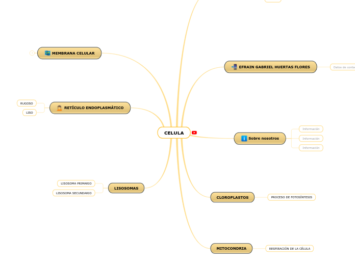 CELULA - Mind Map