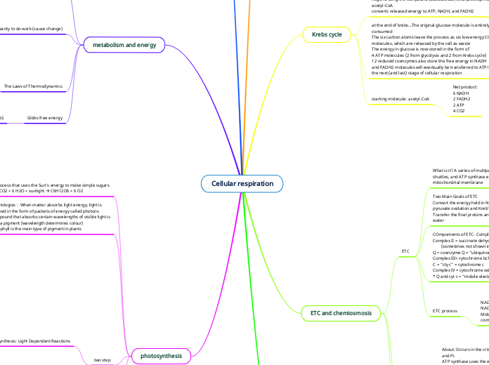Cellular respiration - Mind Map