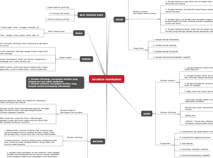 struktur tumbuhan - Mind Map