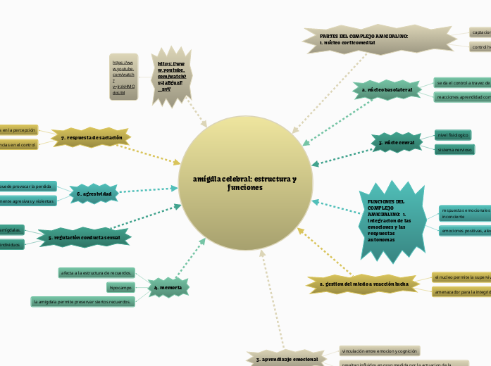 amígdla celebral: estructura y funciones - Mind Map