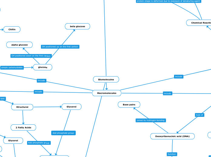 Concept Map 1 - Mind Map