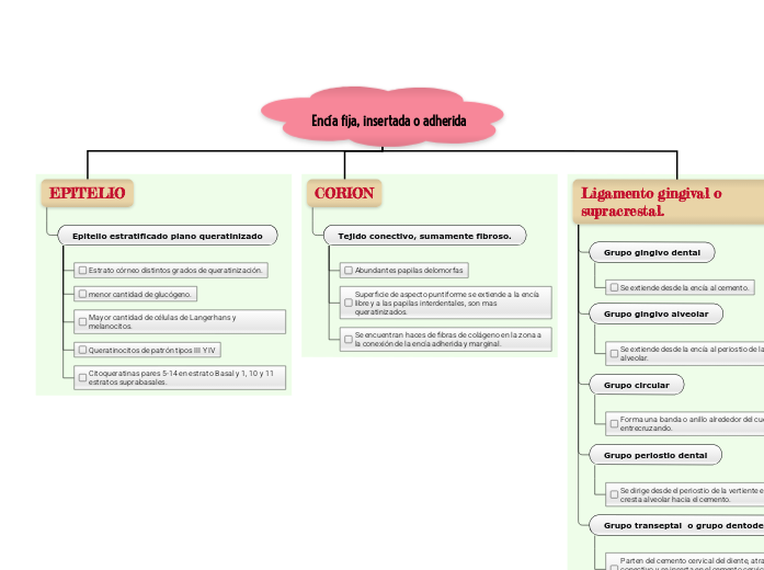Encía fija, insertada o adherida - Mind Map