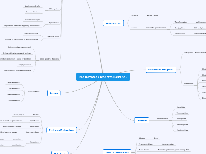 Prokaryotes - Mind Map