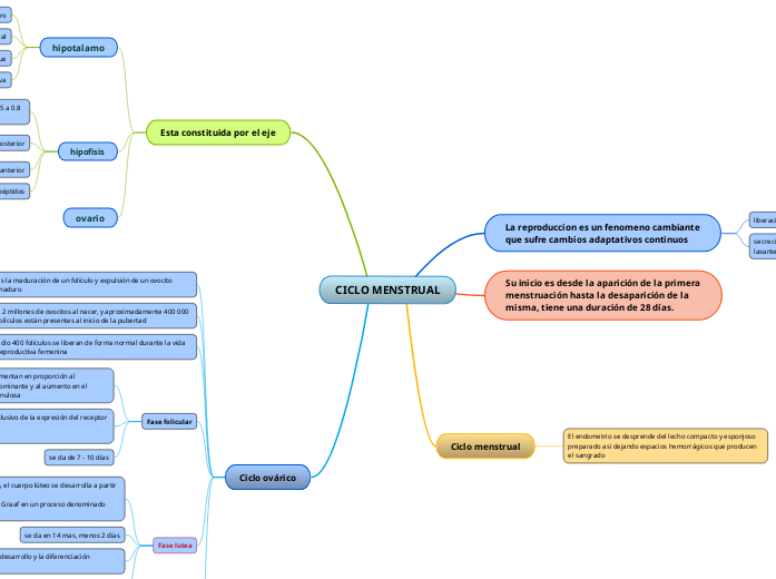 CICLO MENSTRUAL - Mind Map