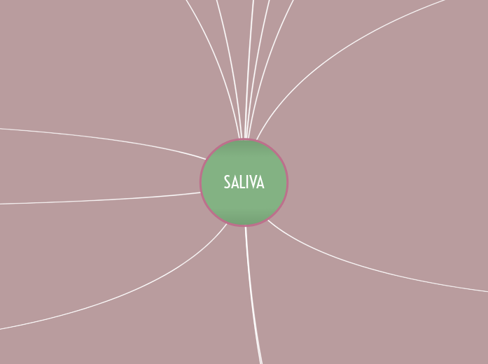 SALIVA - Mind Map