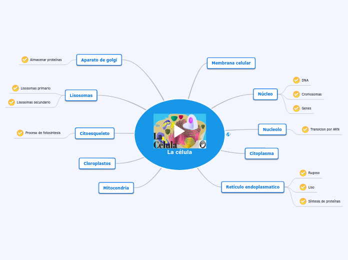 La célula - Mind Map