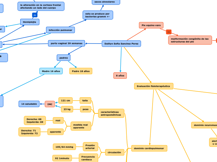 Daillyn Sofia Sanchez Perez - Mind Map