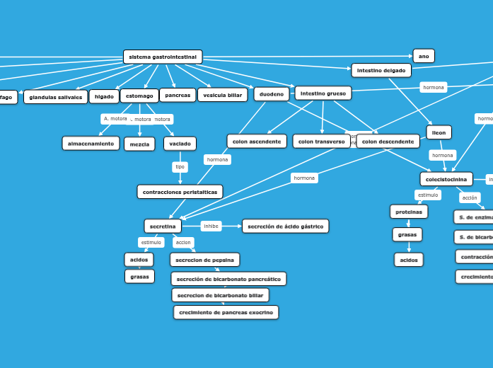 sistema gastrointestinal - Mind Map