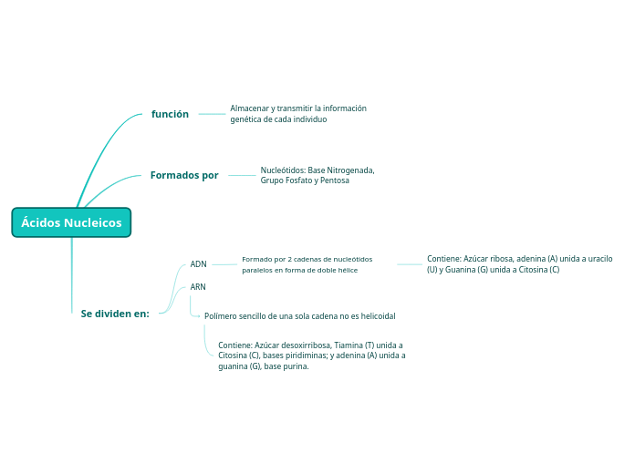 Ácidos Nucleicos - Mind Map