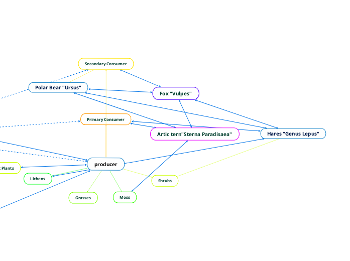 producer #3 - Mind Map