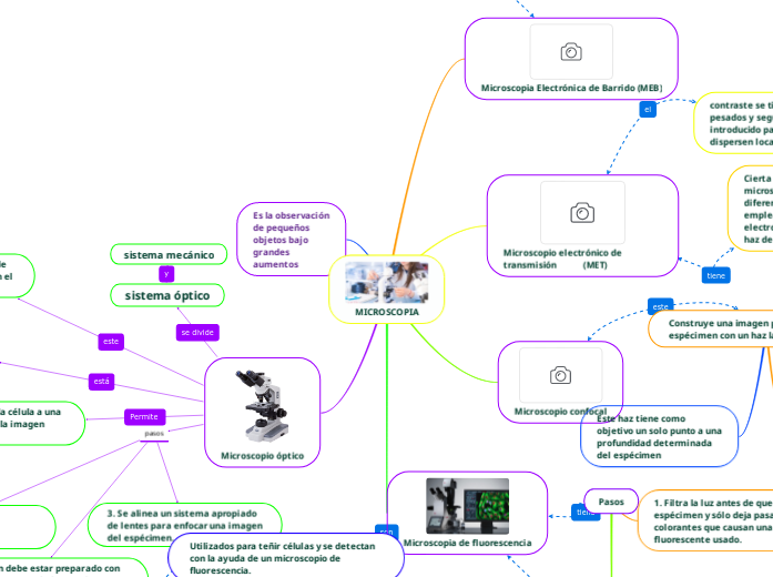 MICROSCOPIA - Mind Map