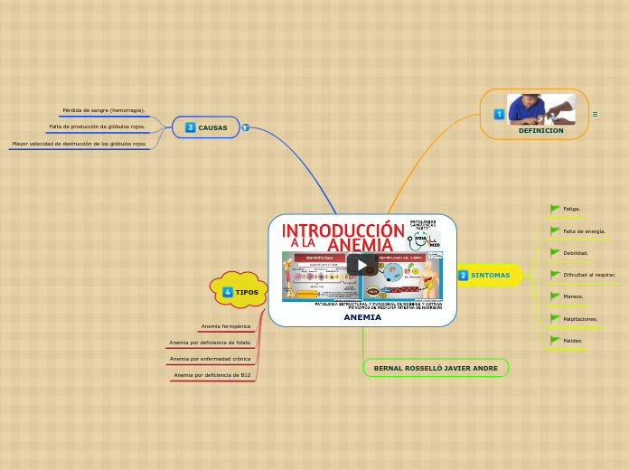 ANEMIA - Mind Map