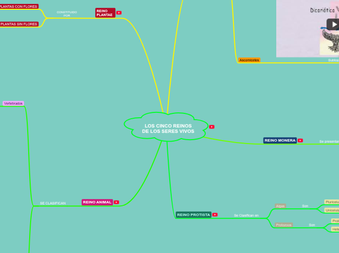 LOS CINCO REINOS DE LOS SERES VIVOS - Mind Map