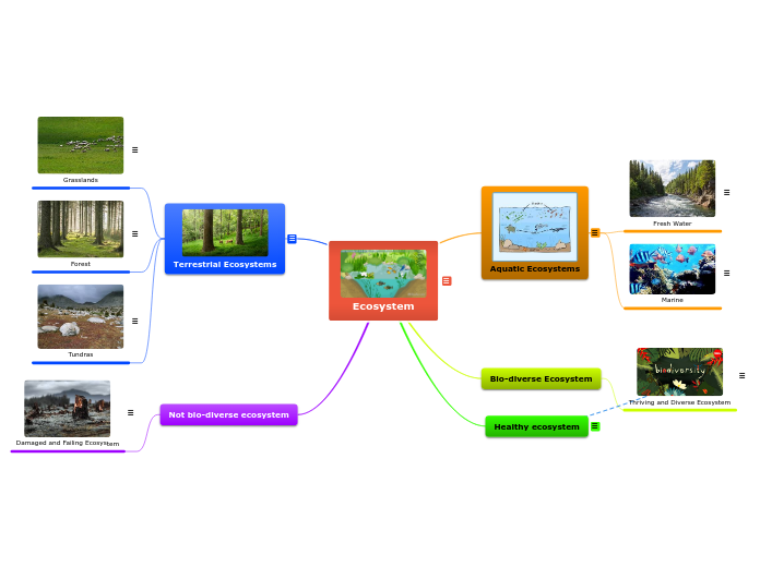 Types Of Terrestrial Ecosystems