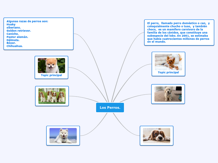 Los Perros. - Mind Map