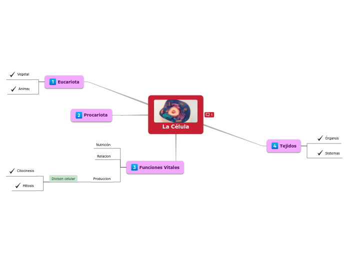 La Célula - Mind Map