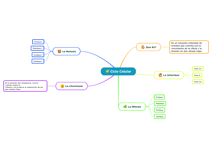 Ciclo Celular - Mind Map