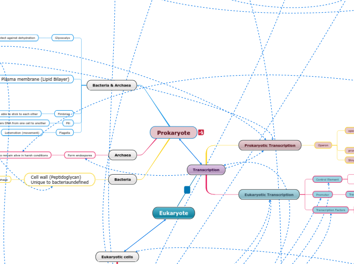 Concept Map (Fall 2020)- Group #7 - Mind Map