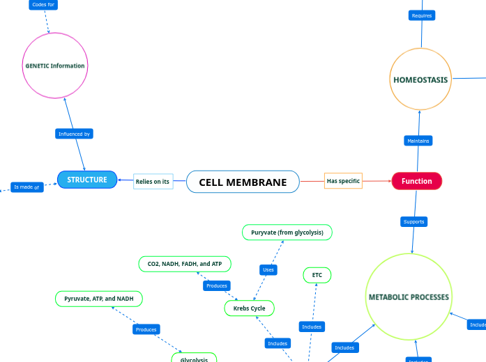 CELL MEMBRANE | Mindomo Mind Map