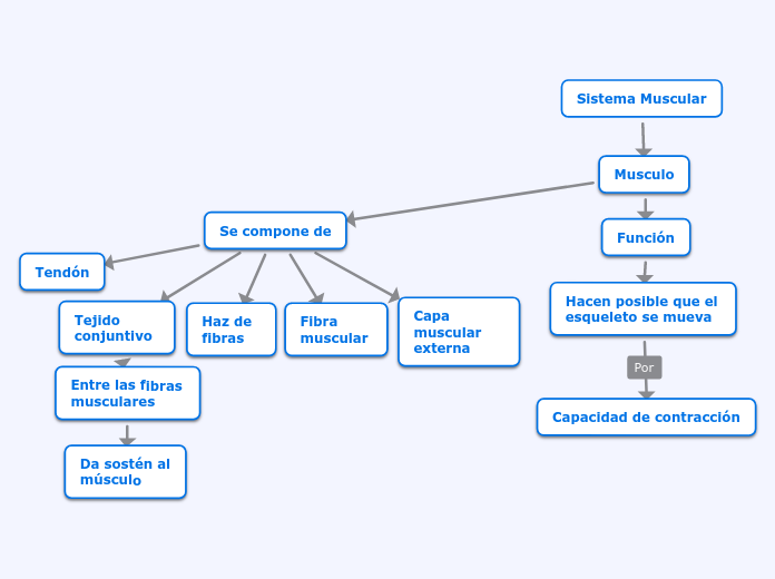 Sistema Muscular - Mind Map