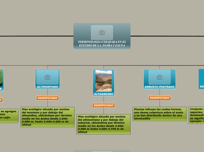 metodologia de flora y fauna - Mind Map
