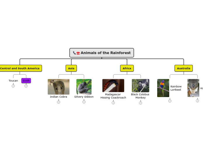 Animals of the Rainforest - Мыслительная карта