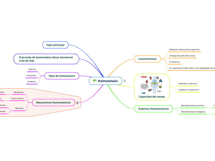 Homeostasis - Mind Map