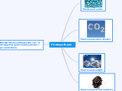 Photosynthesis - Mind Map