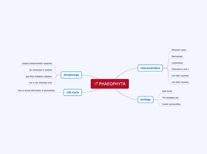 PHAEOPHYTA - Mind Map