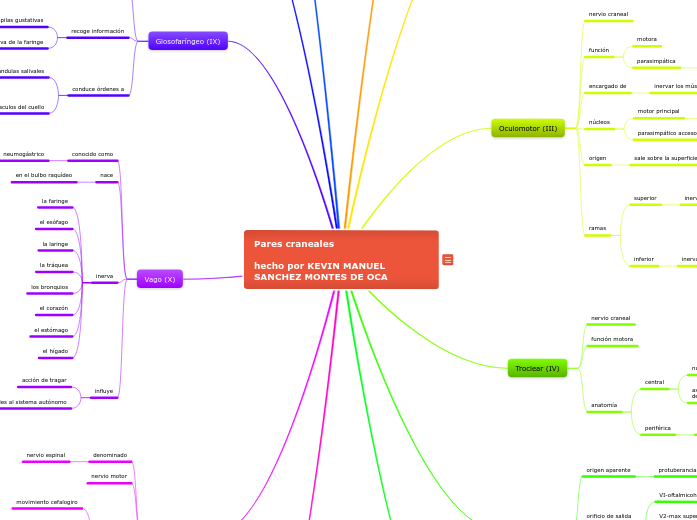 Pares craneales hecho por KEVIN MANUEL SA...- Mind Map