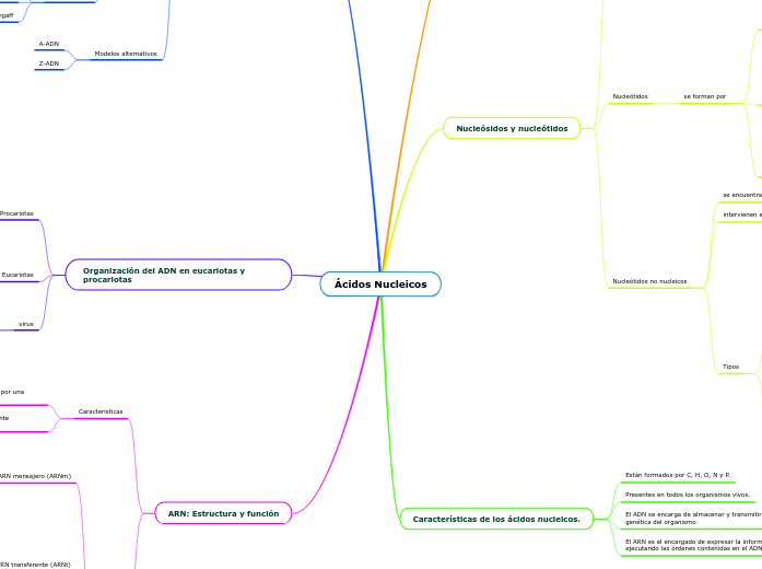 Ácidos Nucleicos - Mind Map