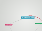 The Water Cycle - Mind Map