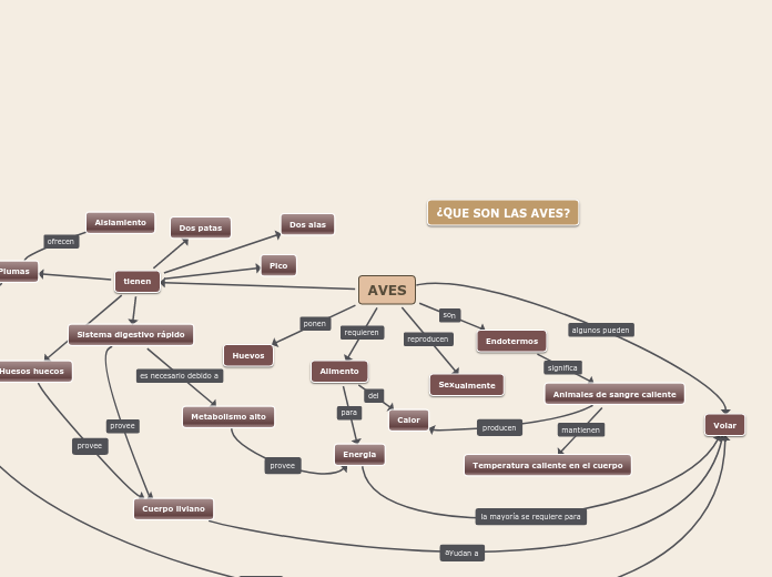 AVES - Mind Map