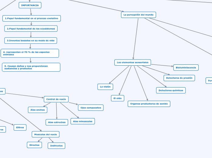 INSECTOS - Concept Map