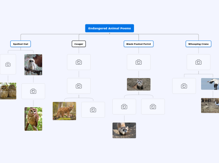 Endangered Animal Poems - Mind Map