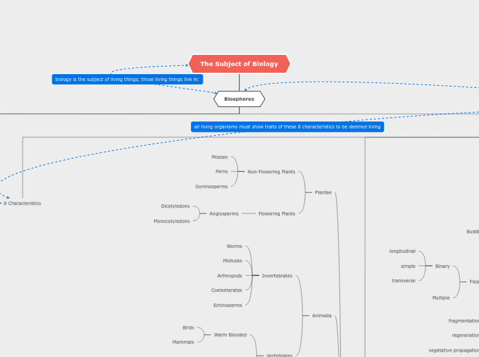 Organigram - Mind Map