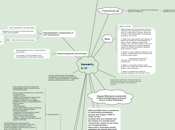 Biochemistry (1.1-1.2) - Mind Map