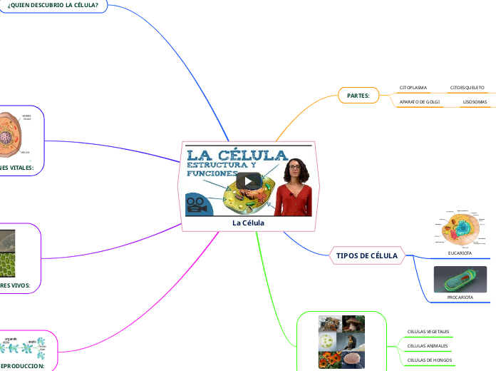 La Célula - Mind Map