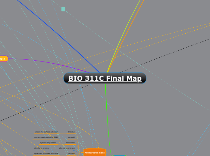BIO 311C Final Map - Mind Map