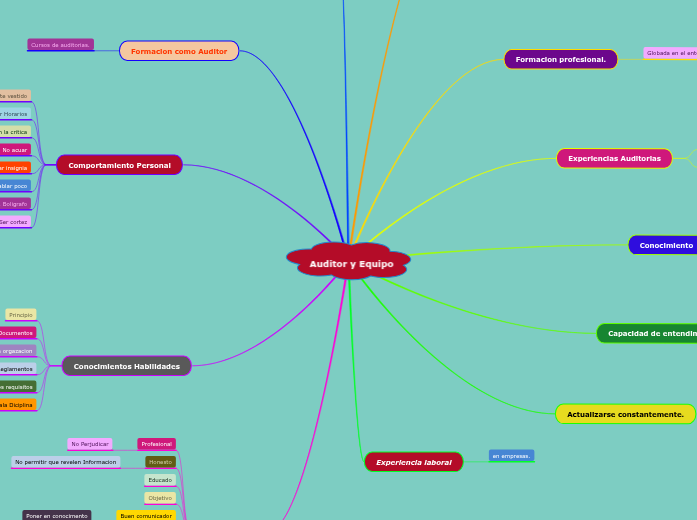 Auditor y Equipo - Mind Map