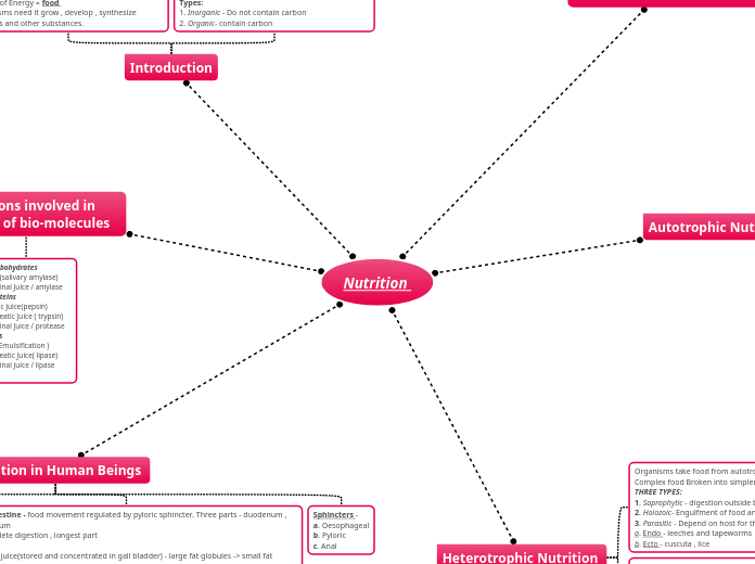 Nutrition - Mind Map