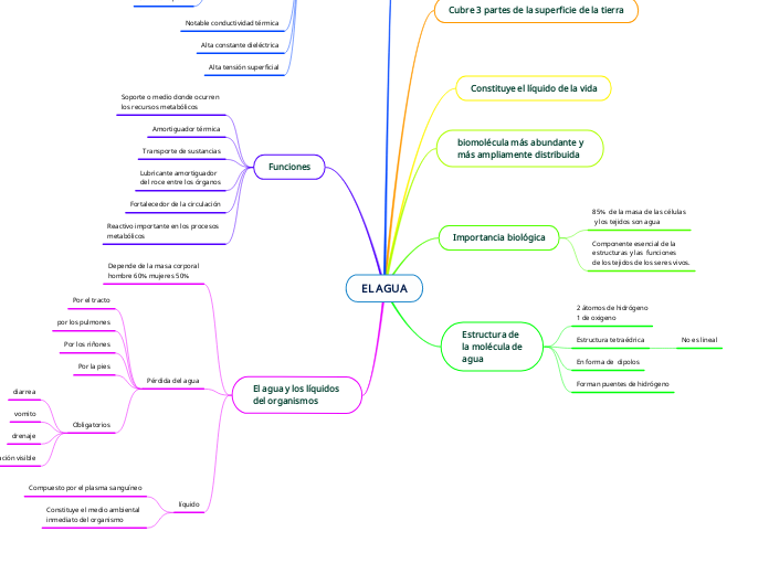 EL AGUA - Mind Map