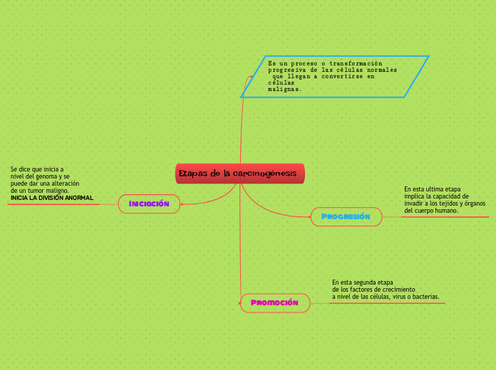 Etapas de la carcinogénesis - Mind Map