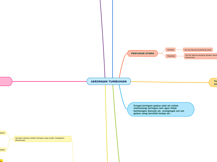 David 11 IPA jaringan tumbuhan - Mind Map