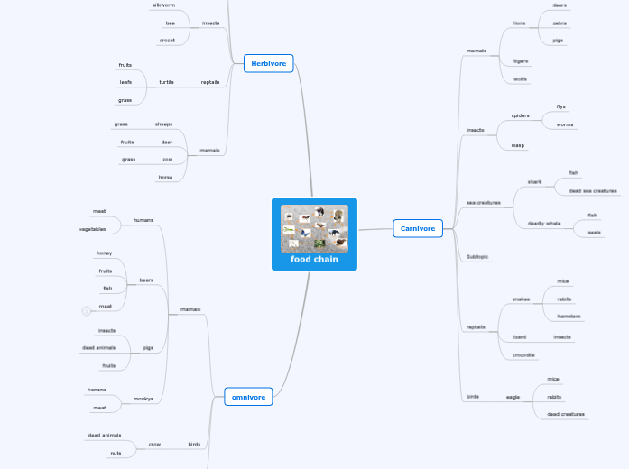 food chain - Mind Map